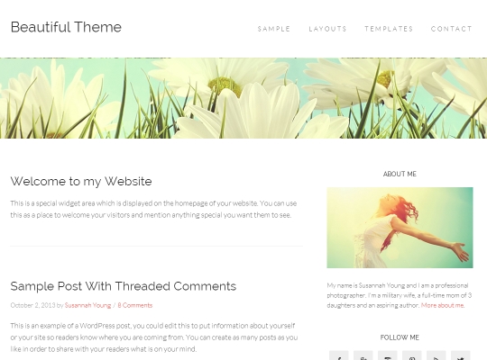 Best WordPress Blog Themes - Blog Templates | BOA